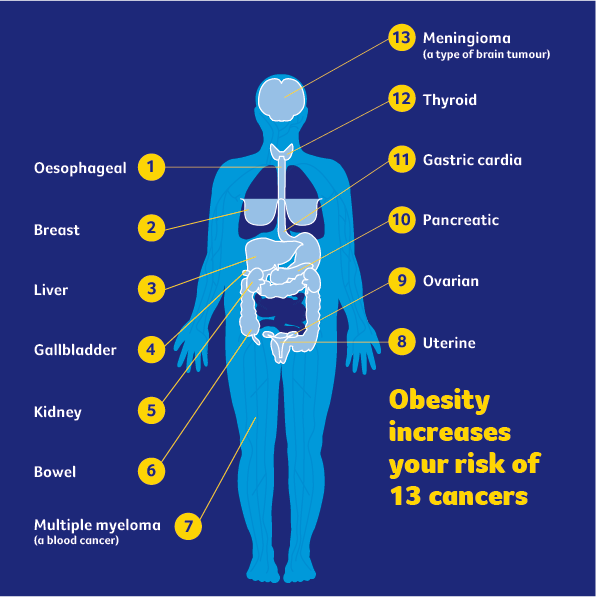 Limit junk food and sugary drinks | Healthy Made Tasty